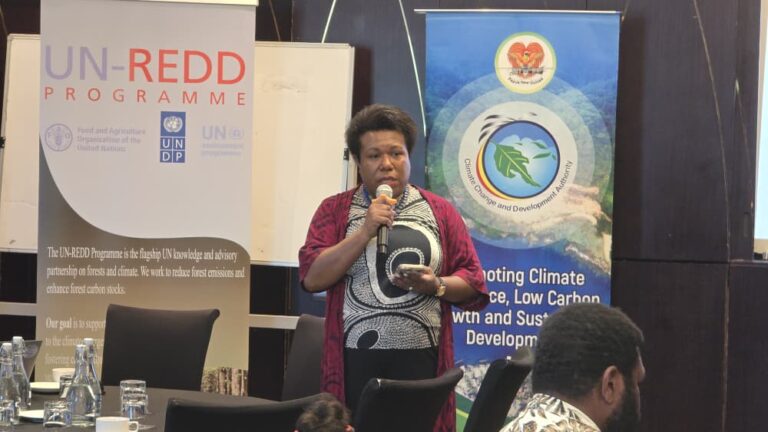 CCDA – Climatechange and Development Authority