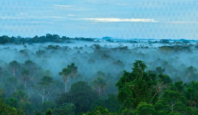 CCDA – Climatechange and Development Authority